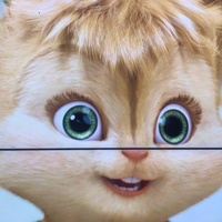 joo.movie.qqq - original sound - joo.movie.qqq | TikTok
