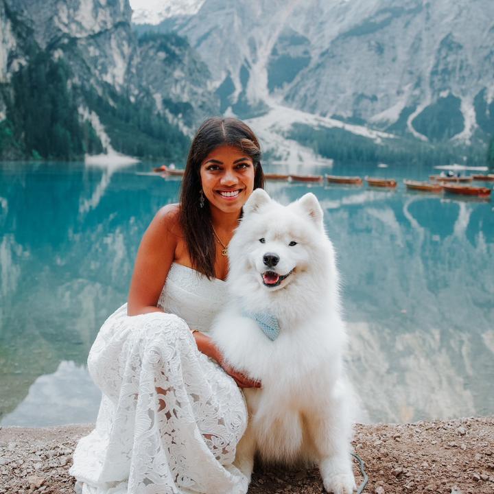 Reindeer training in session!!! 😝 #dog | Charishma + Boomer (@life.with ...