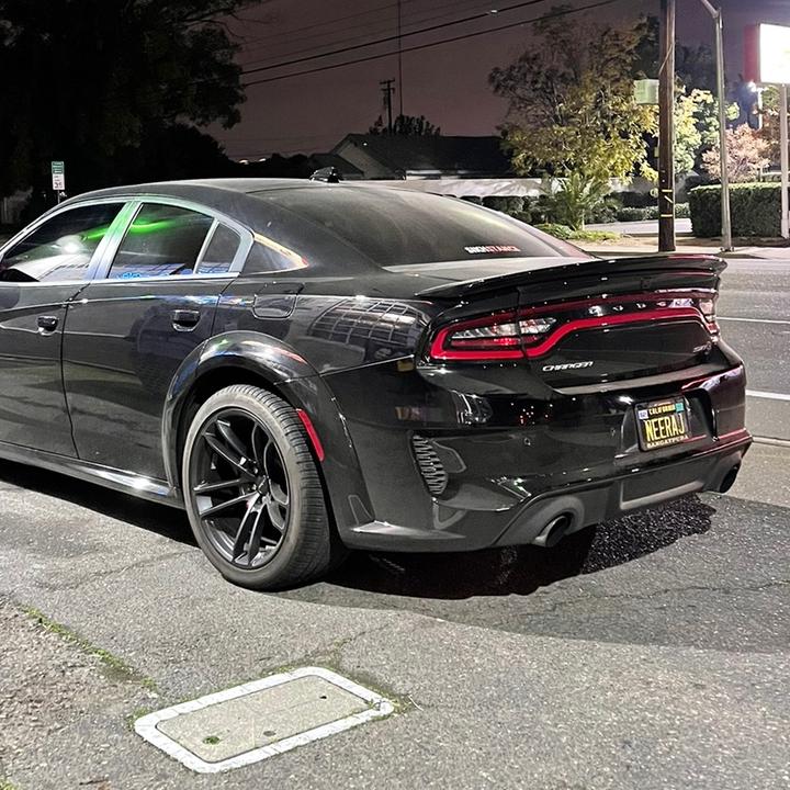 🦄 @2021.hellcat - _ - TikTok