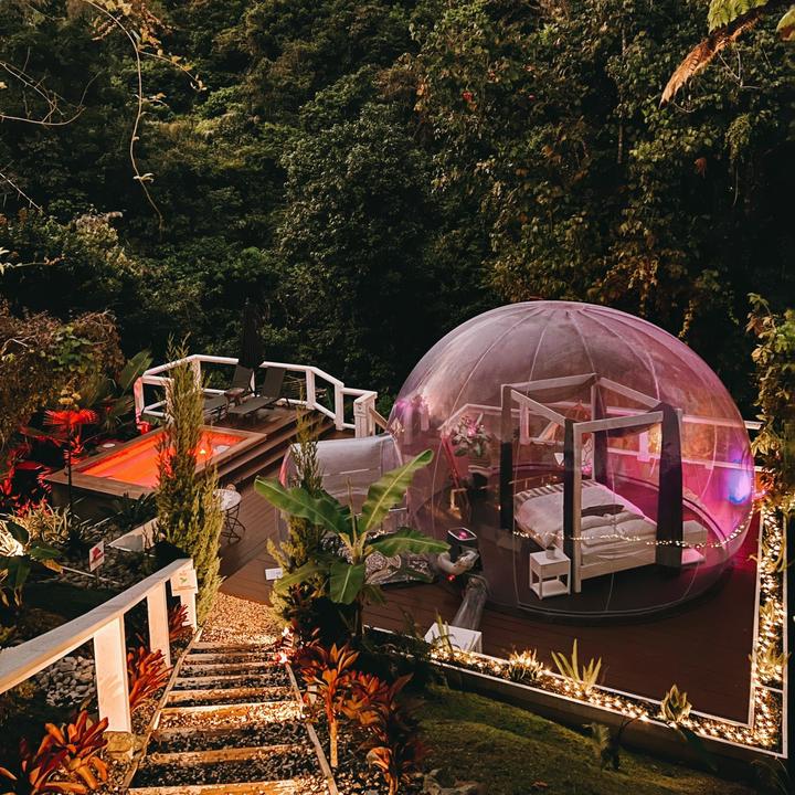 🦄 @bubblepuertorico - Bubble Puerto Rico - TikTok