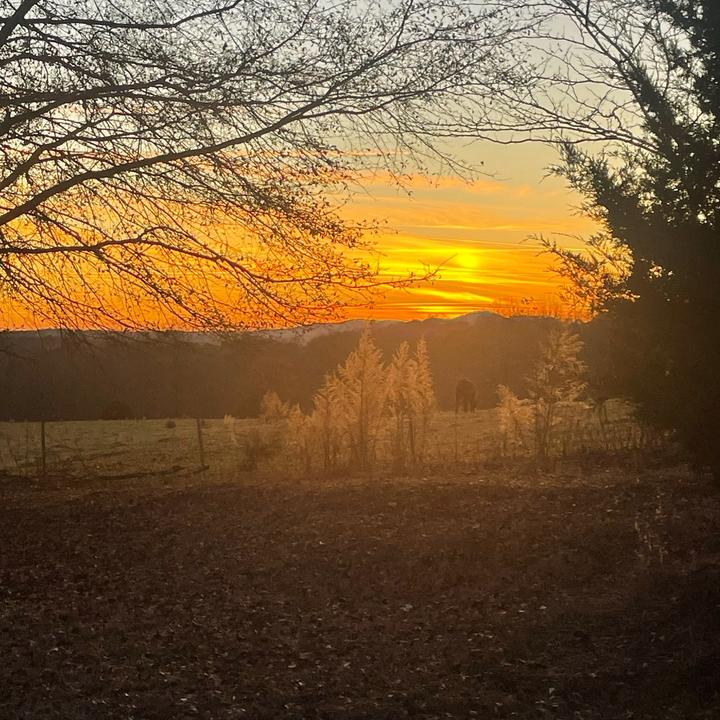 🦄 @theyfw_sadieeee - 𝒮𝒶𝒹𝒾ℯ🖤 - TikTok