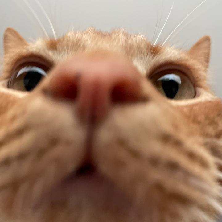 🦄 @saboobers - saboob - TikTok