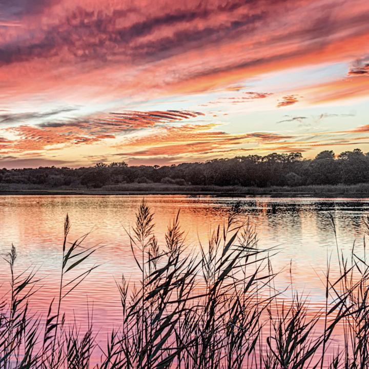 🦄 @averagebarbiedreams - 🍓K A Y🍓 - TikTok